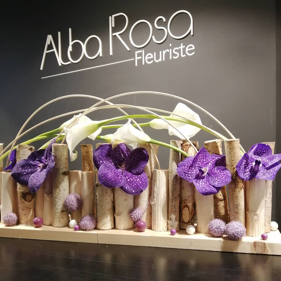 Contact - Alba Rosa Comines